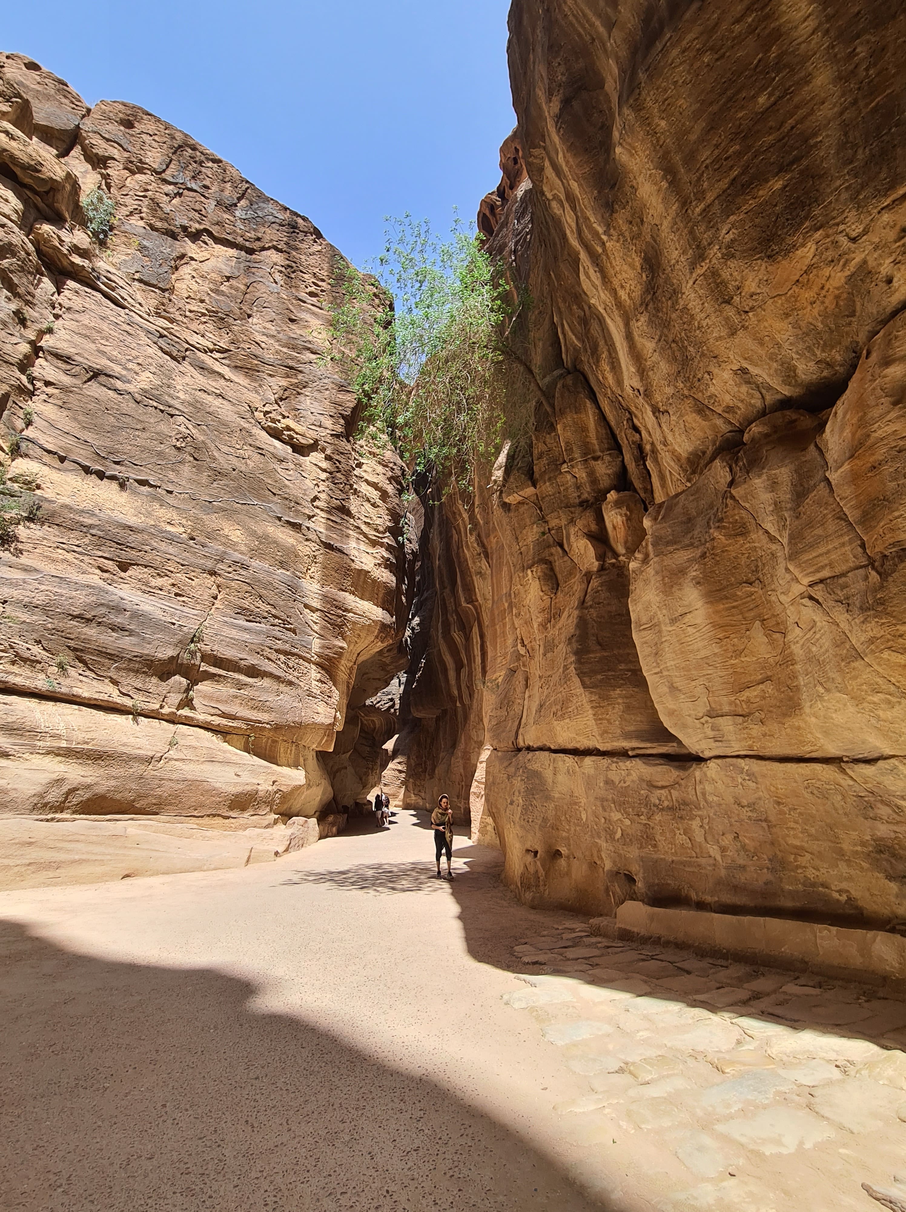 Petra & Wadi Rum Day Tour from Aqaba / Eilat Border | V