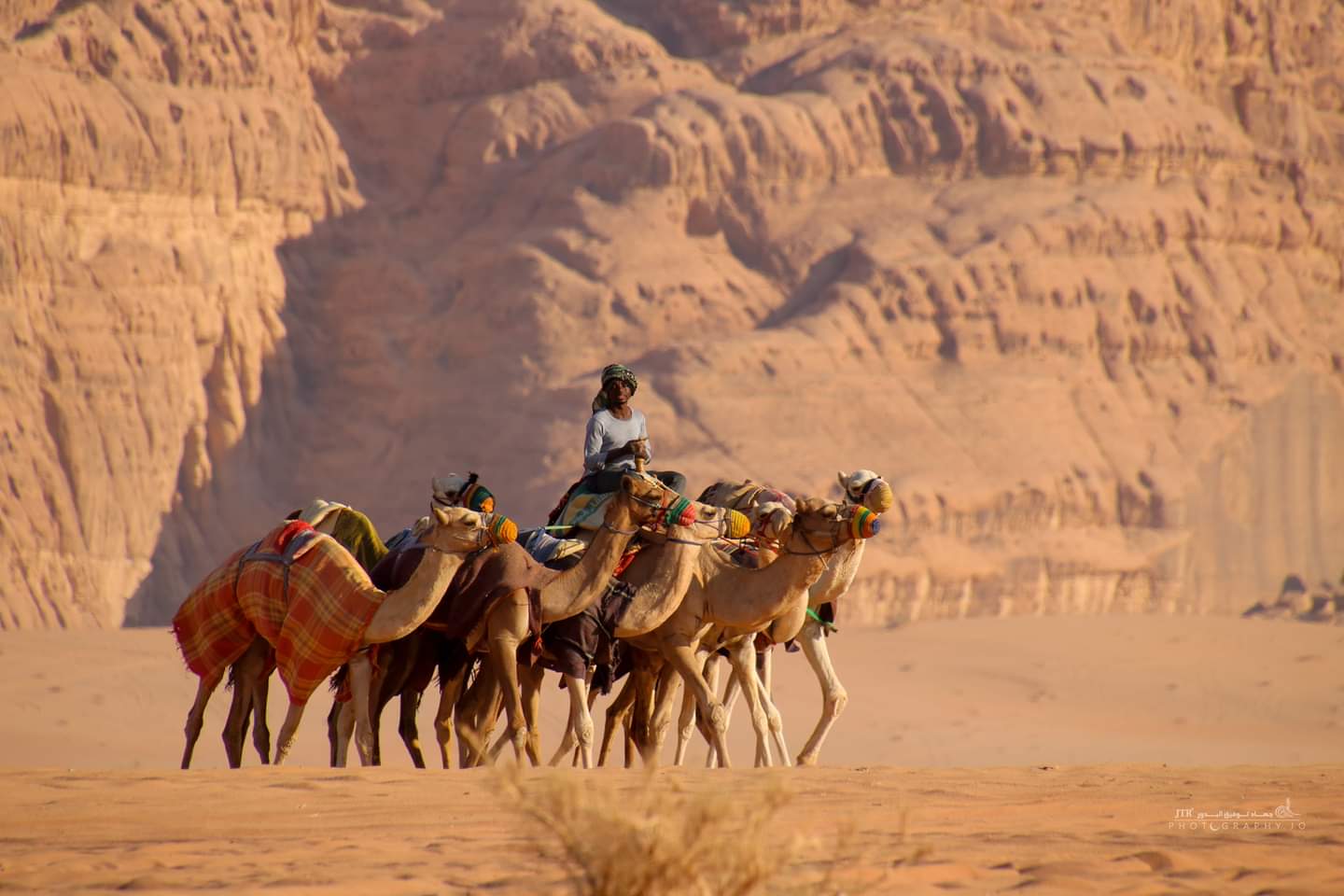 Wadi Rum Full Day Tour from Amman | Victoria Travel & T